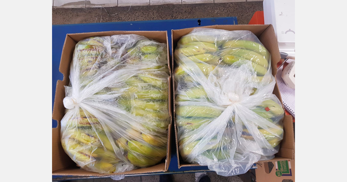 "I sacchetti microperforati al laser prolungano la shelf life delle ...