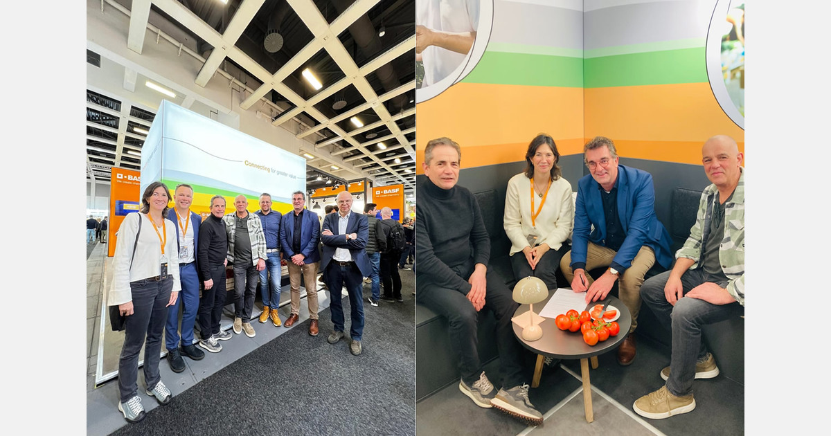 Unire le forze per il pomodoro rotondo Intense