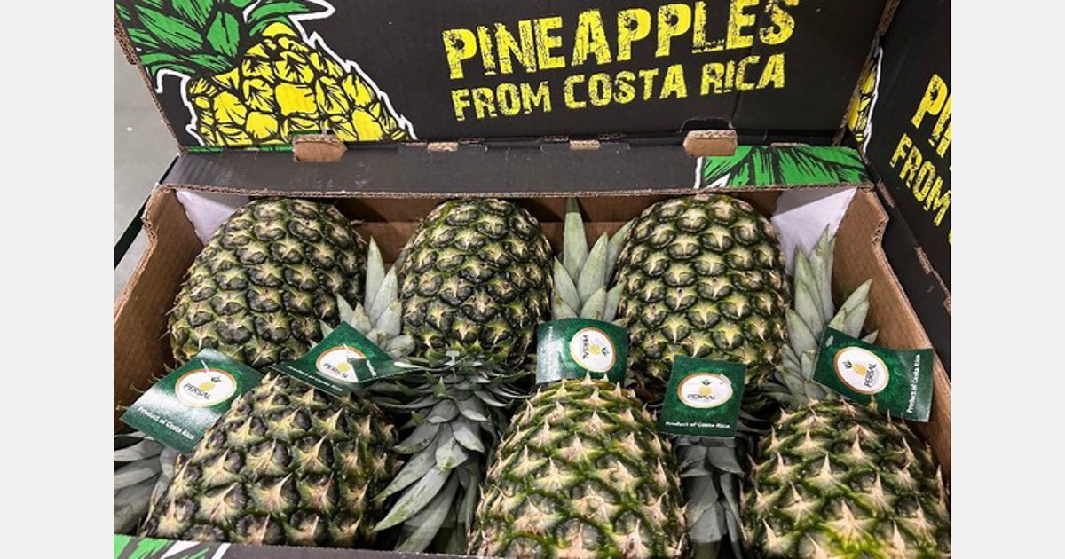 "La grande domanda da parte del settore della trasformazione fa ...