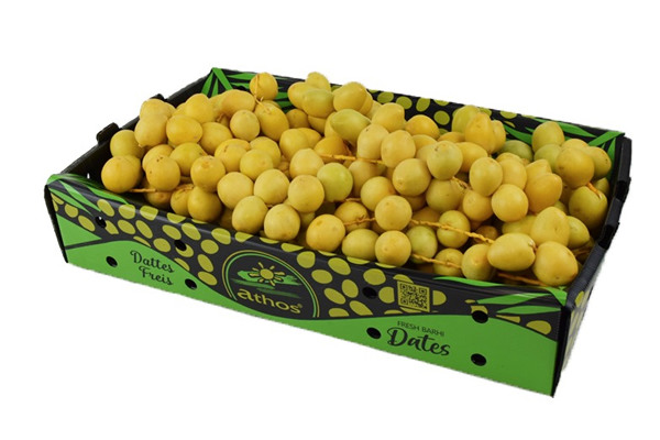 "Il Ramadan spinge le vendite di datteri Bahri"