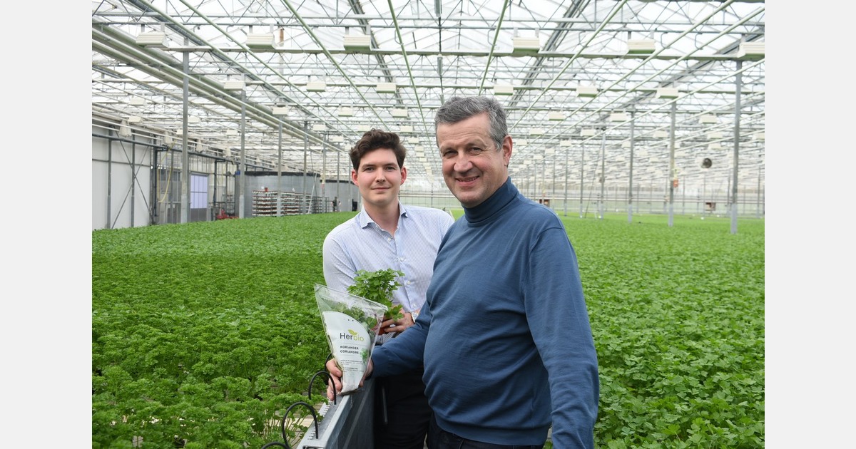 Nuovo concept per erbe aromatiche locali e biologiche