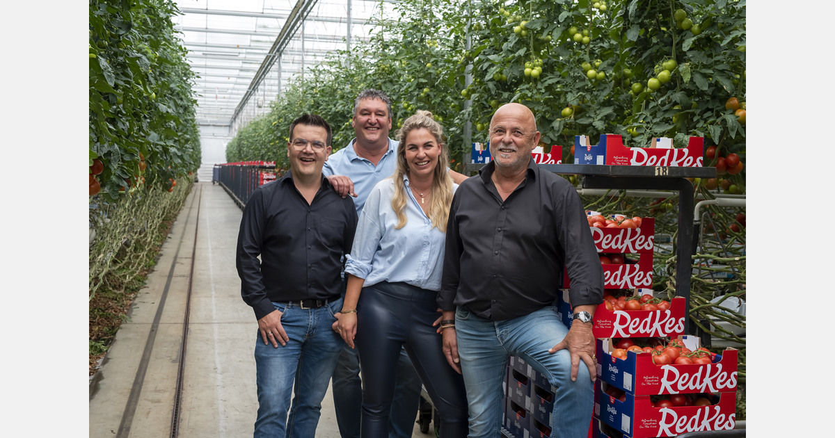 "Il prezzo dei cetrioli tiene il passo del calibro, stabile il mercato ...