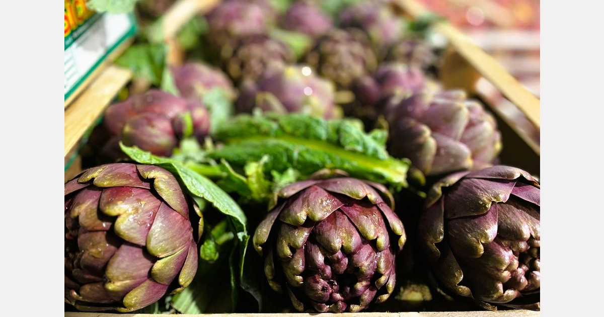 "Siamo nati come specialisti di pallet misti"