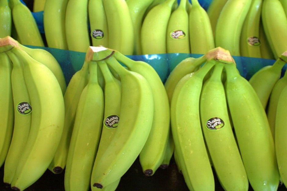 I prezzi delle banane ristagnano, anche se la produzione diminuisce