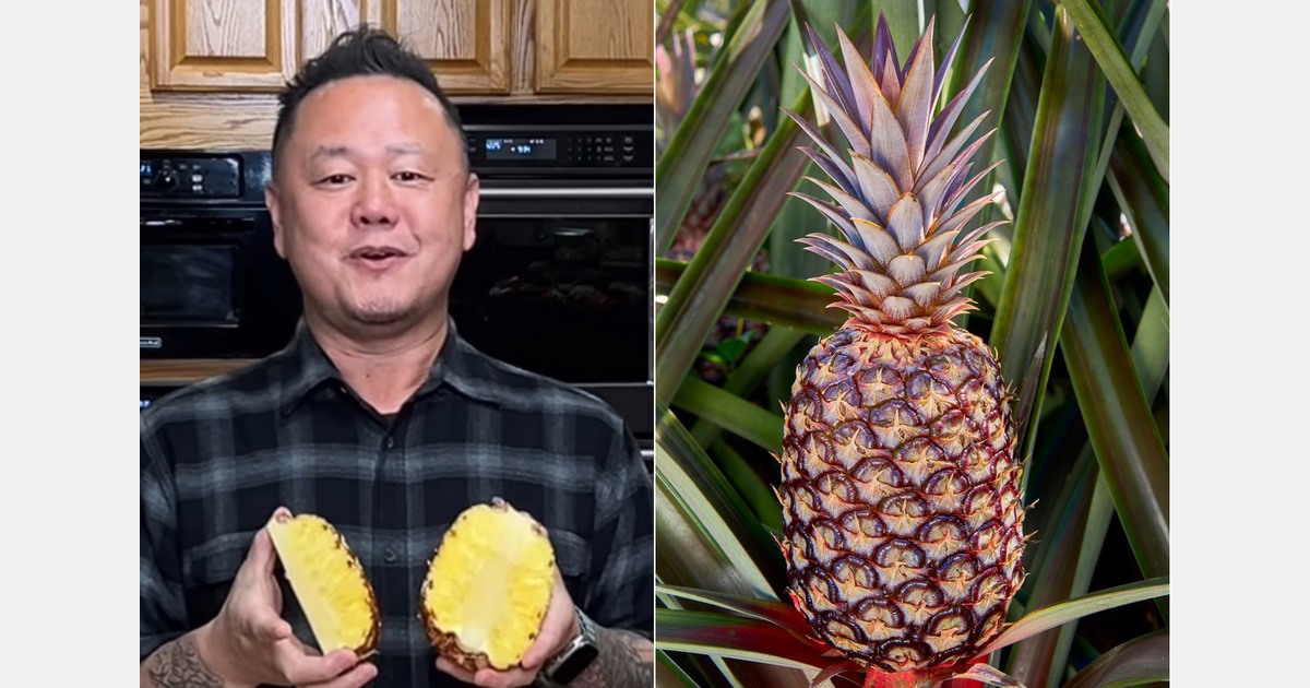 Ananas da 400 dollari sono andati esauriti in pochi giorni