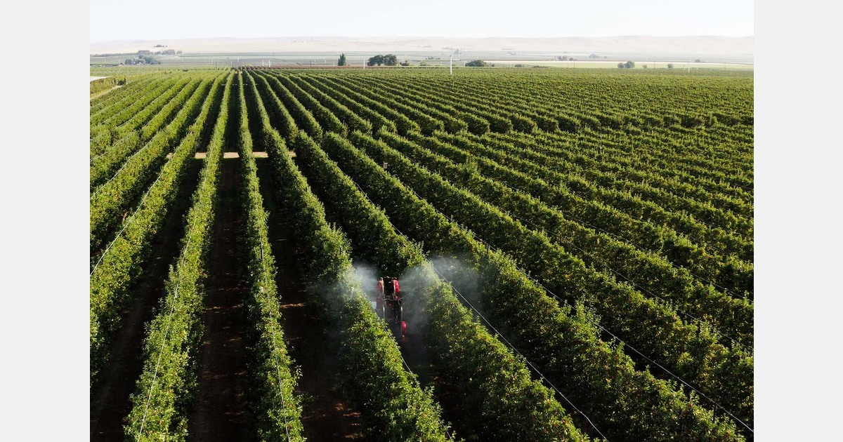 Robotics Plus mette in mostra Prospr, rivoluzionando la gestione di ...