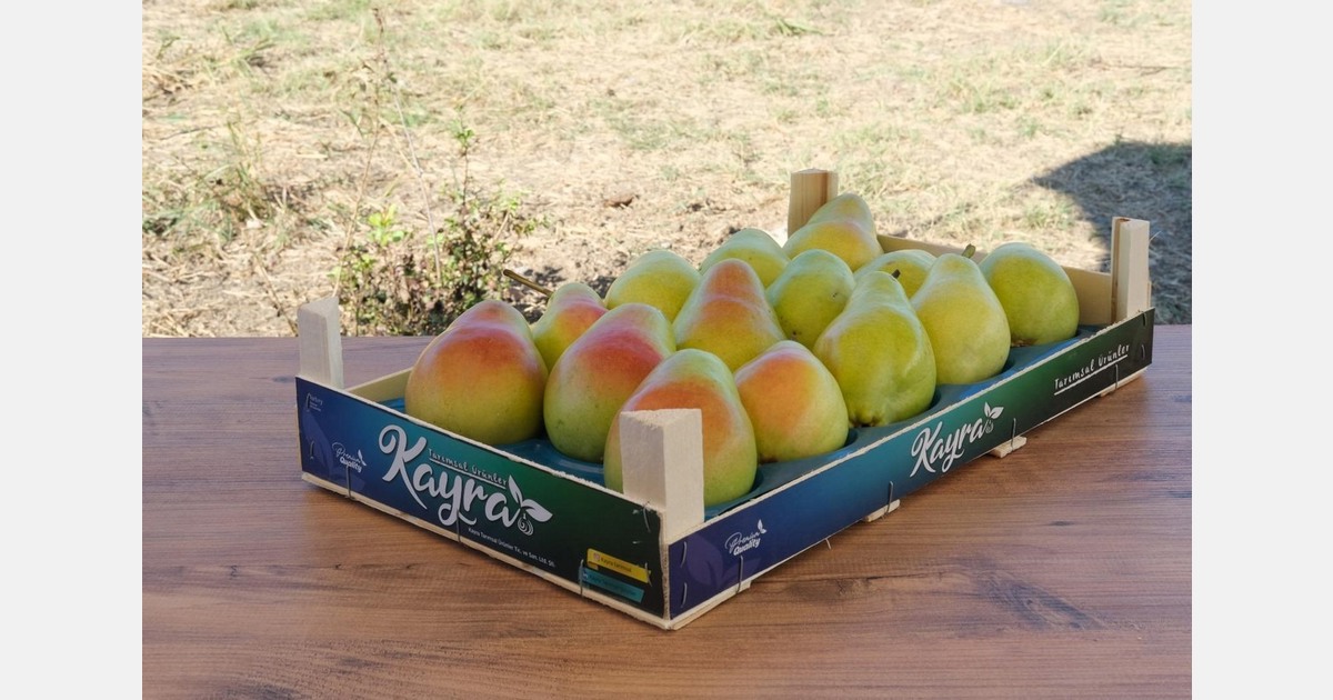 "La stagione della pera Santa Maria turca comincia in maniera favorevole"