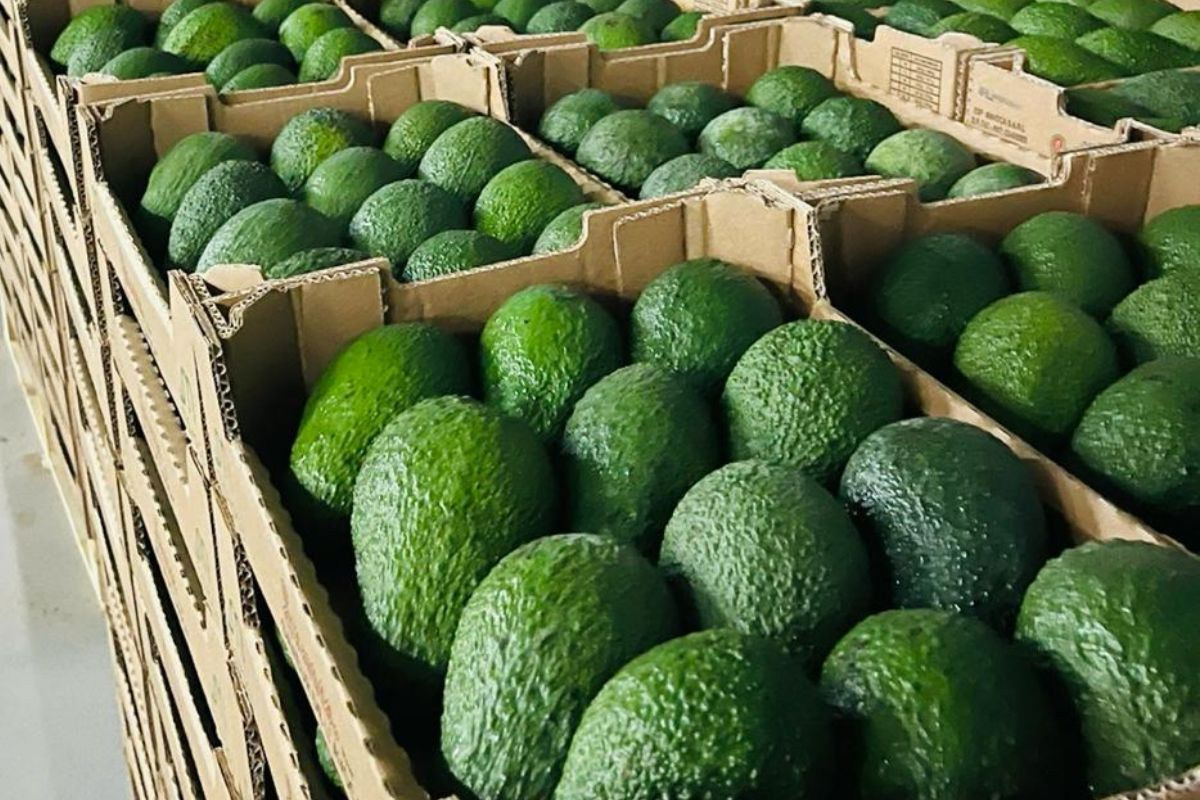 "Questa stagione segna un importante passo avanti nella stabilità dell ...