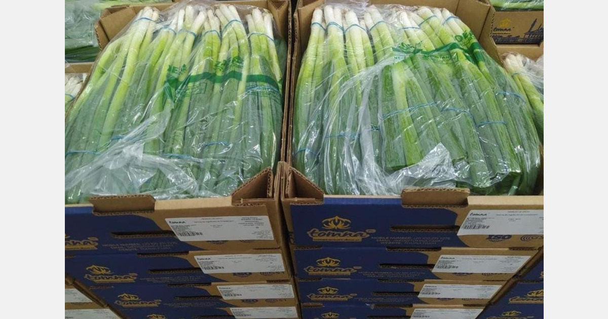 Il ritardo della stagione egiziana dei cipollotti potrebbe rivelarsi ...