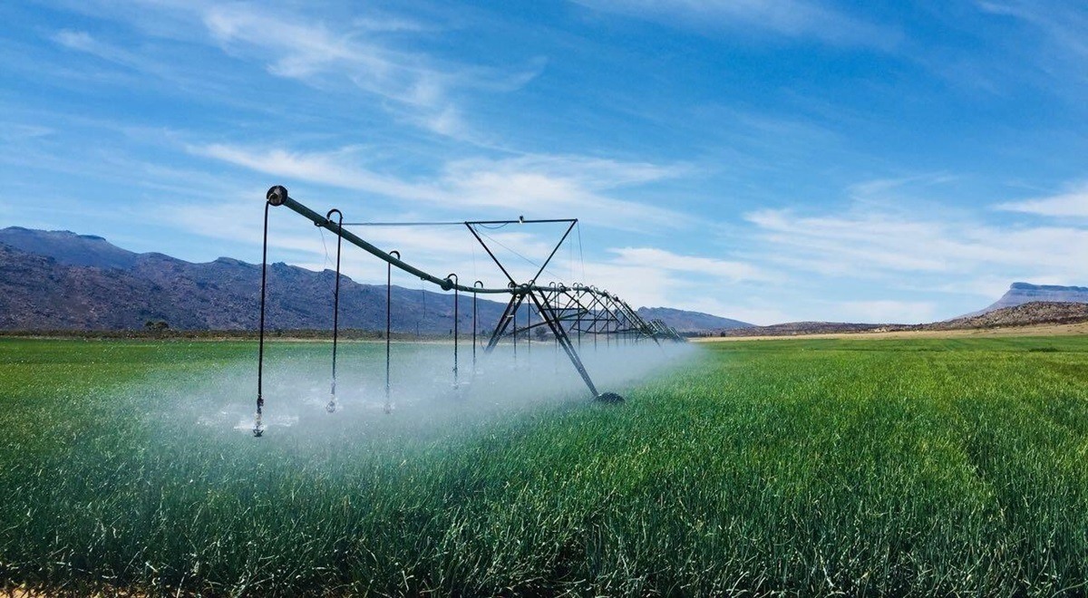 "Koue Bokkeveld è un luogo di coltivazione perfetto per le mele bicolori"