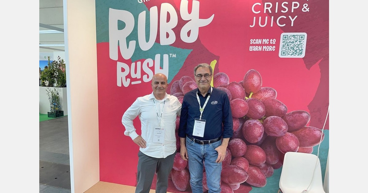 Le regioni di coltivazione della varietà d'uva da tavola Ruby Rush ...