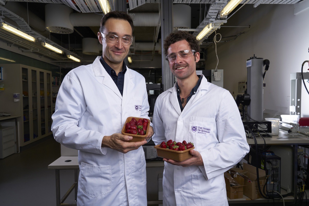 Sviluppato un imballaggio alimentare biodegradabile