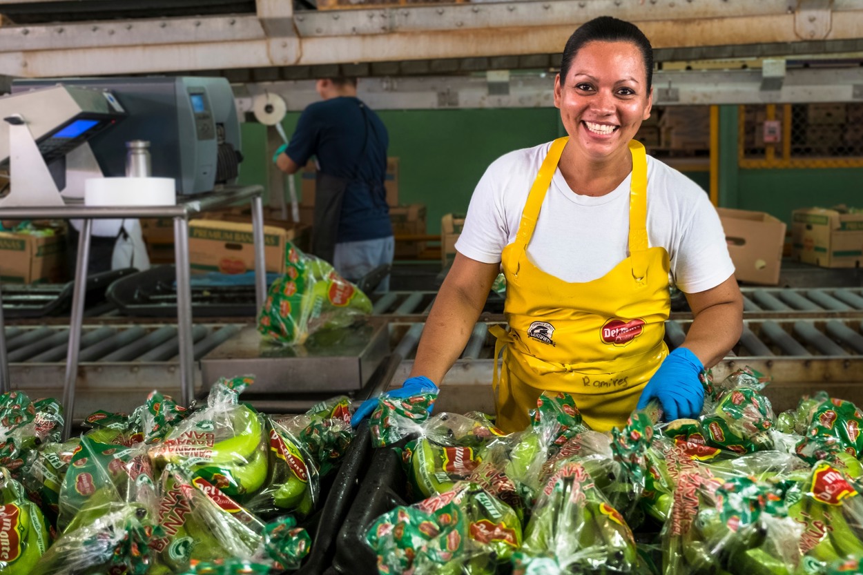 "Nel 2024, l'Europa ha importato il 4 per cento in più di banane"