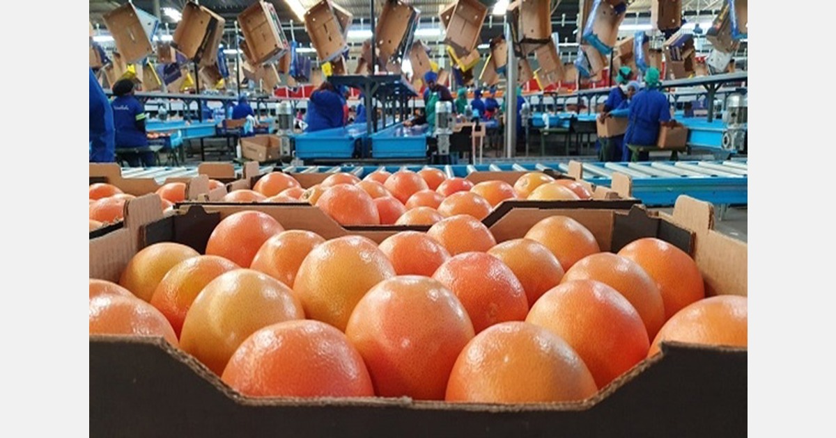 Quest'estate sarà il pompelmo Star Ruby a prendersi la scena