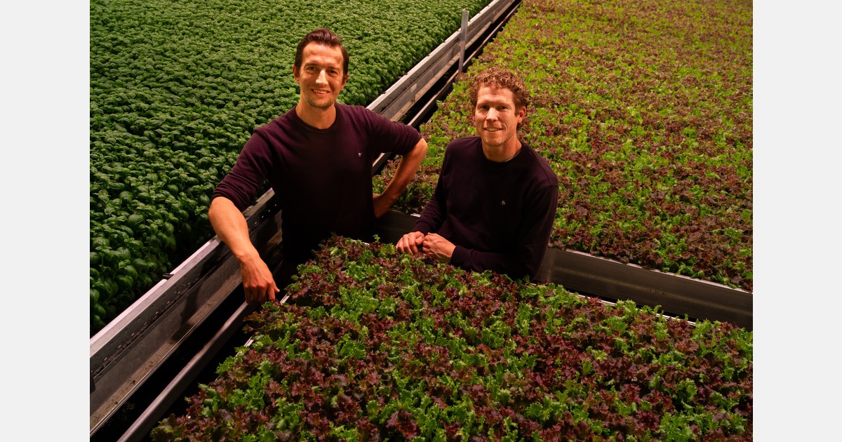 "Stiamo sostituendo le erbe aromatiche importate con colture locali ...