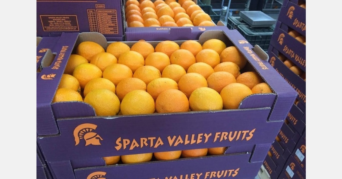 "Un mercato ben equilibrato per le arance Valencia, con caratteristiche ...