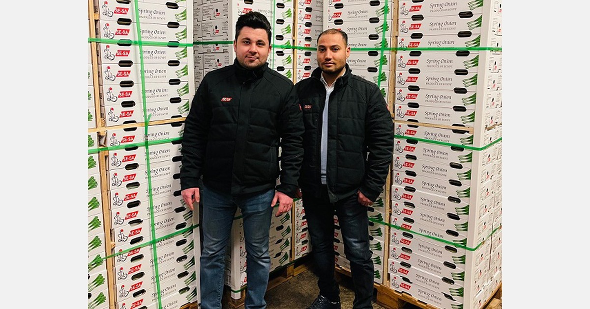 Cipollotti egiziani a tutta l'area della Germania settentrionale