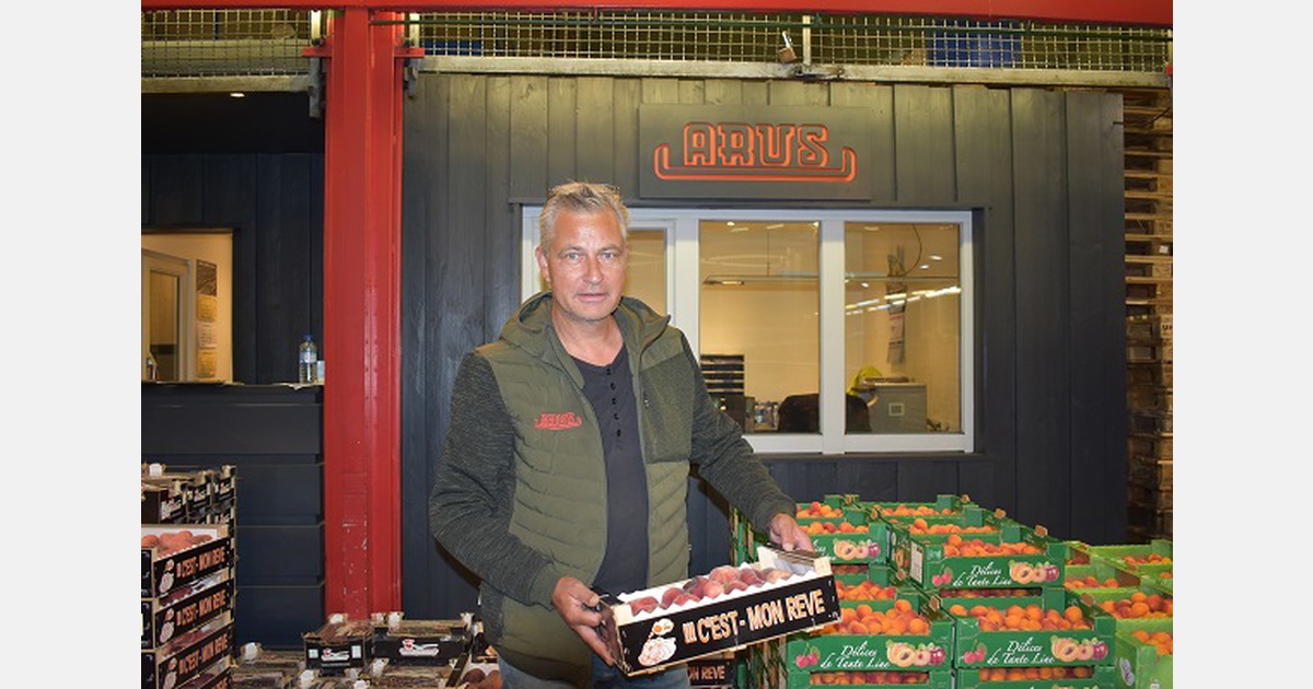 Domanda debole e prezzi bassi per le albicocche spagnole