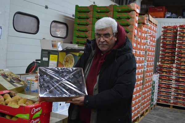 "Durante il Ramadan vendiamo datteri Medjoul jumbo a pallet"