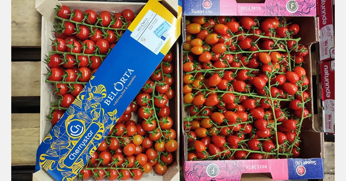 "La gamma di prodotti del Nord Europa sostituisce sempre di più l ...