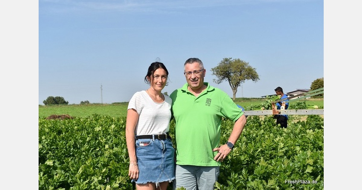 "I cipollotti del Palatinato si sono affermati bene sul mercato"