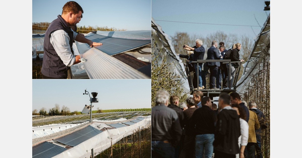 Agrivoltaico in combinazione con sistemi di protezione dalle avversità ...