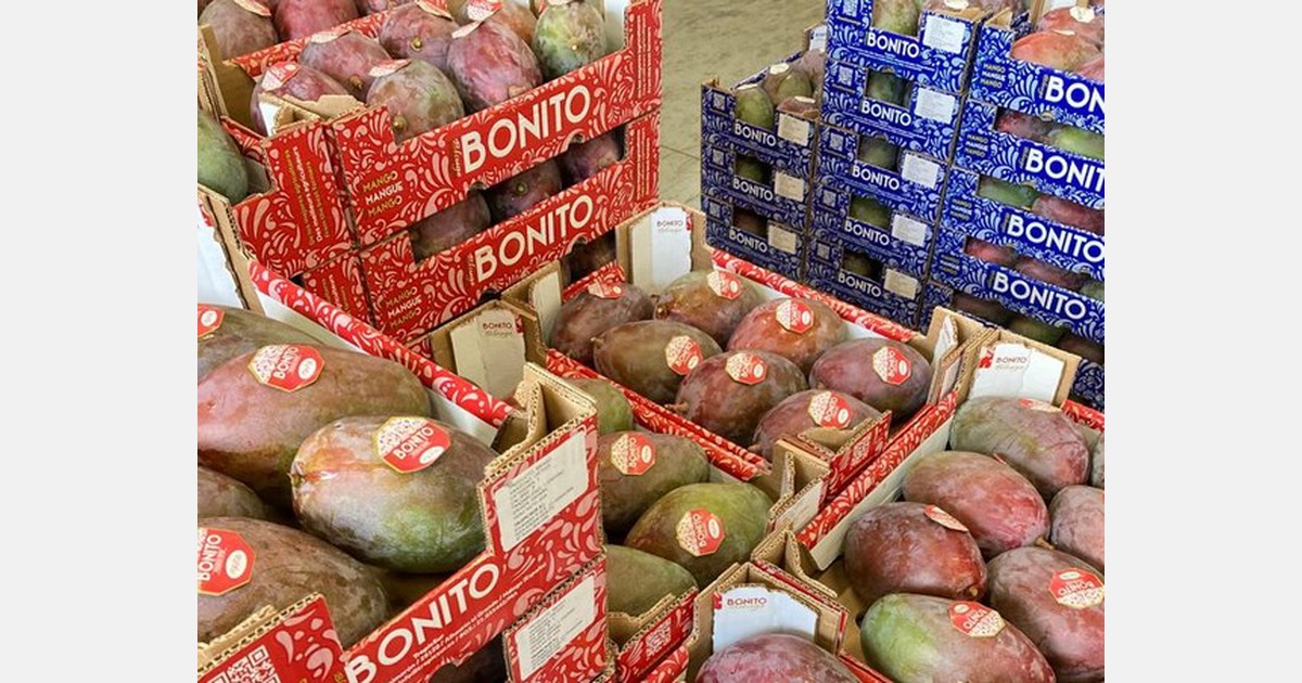 "Stiamo affrontando la campagna più difficile nella storia del mango ...