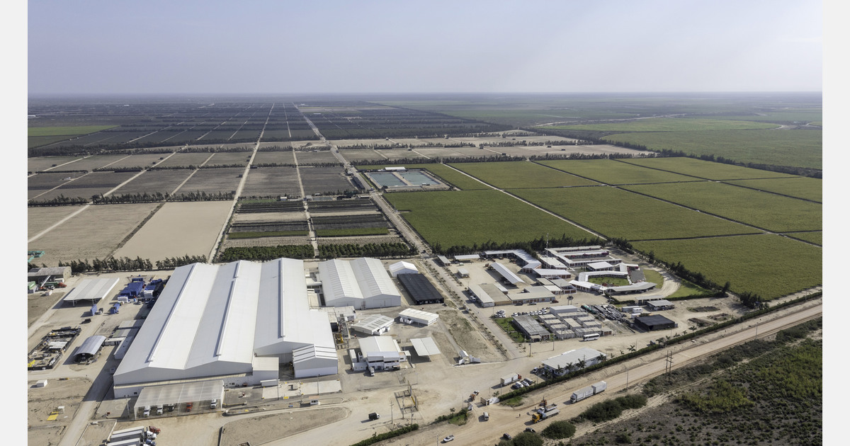 Con attività in Perù, Messico e Marocco, si punta a ottenere una ...