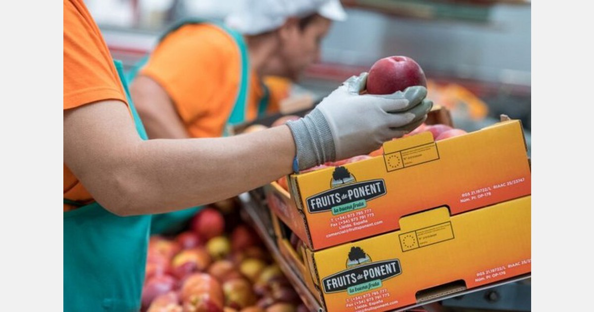 "L'embargo russo ha rafforzato la competitività della Turchia nel ...