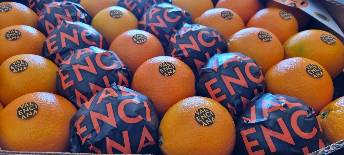 È iniziata la campagna delle arance di Valencia