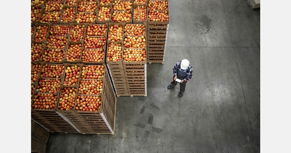 "Brasile, potenziale enorme frenato dal basso potere d'acquisto che ...