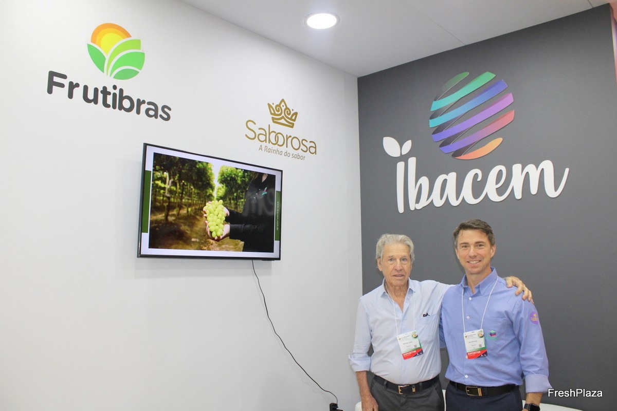 "I mango sono sempre più conosciuti nell'emisfero nord, aprendo così ...