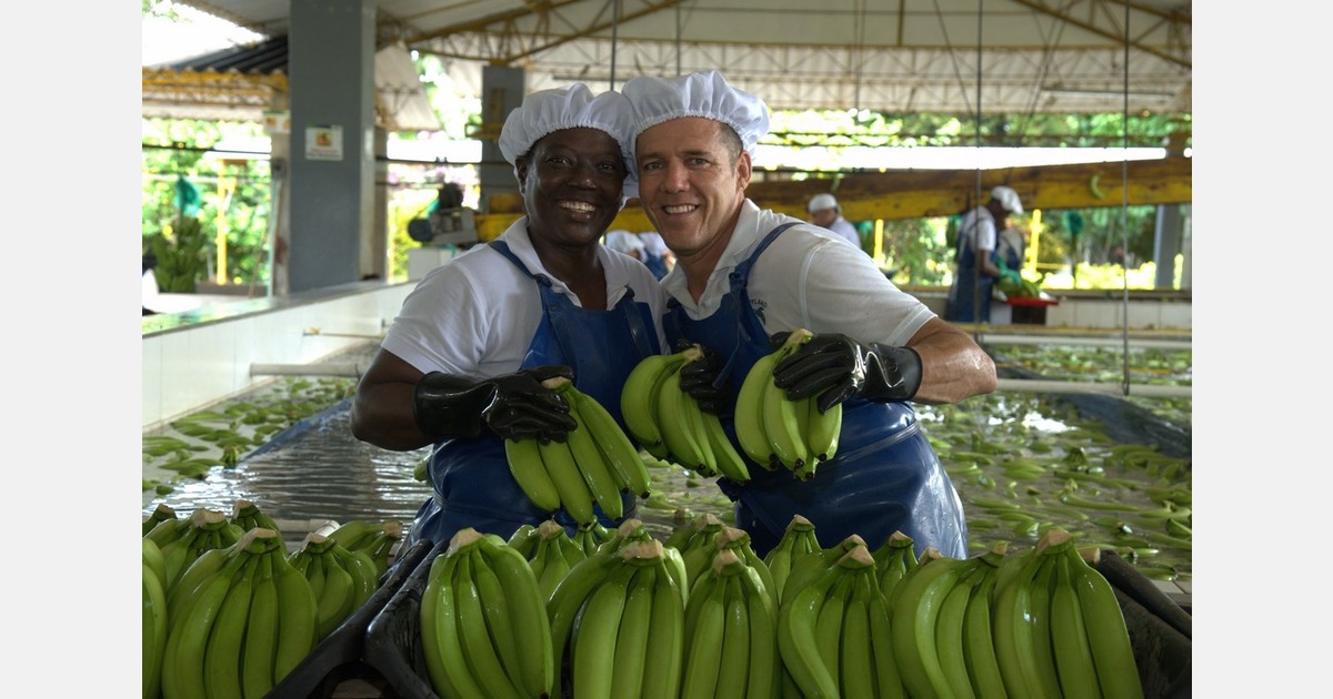 "È ora che le banane smettano di essere il frutto più economico del ...