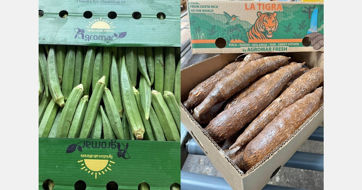 "Esportiamo soprattutto manioca dalla Costa Rica e okra dall'Honduras"