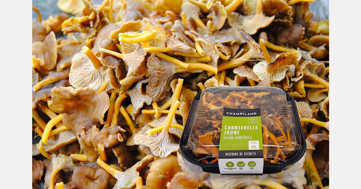 Funghi francesi: un mercato in forte espansione