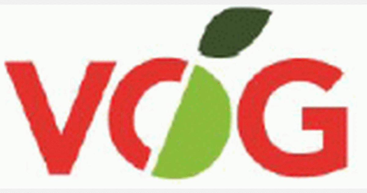 VOG: si valutano nuove soluzioni strutturali