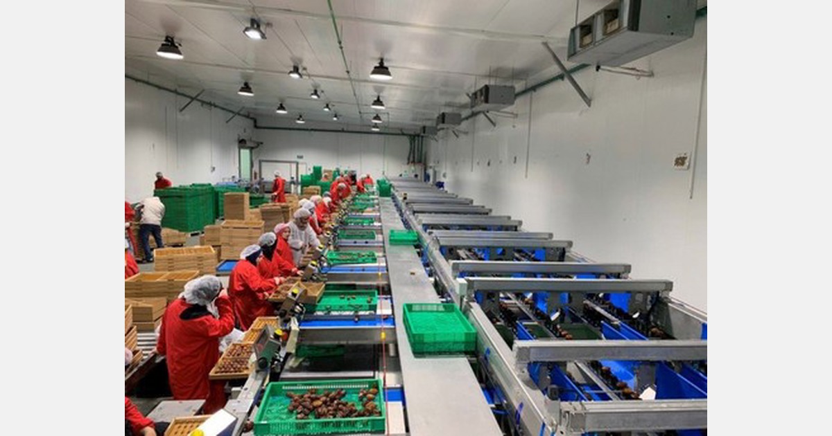 Nuovo impianto innovativo della Elisam dedicato ai datteri