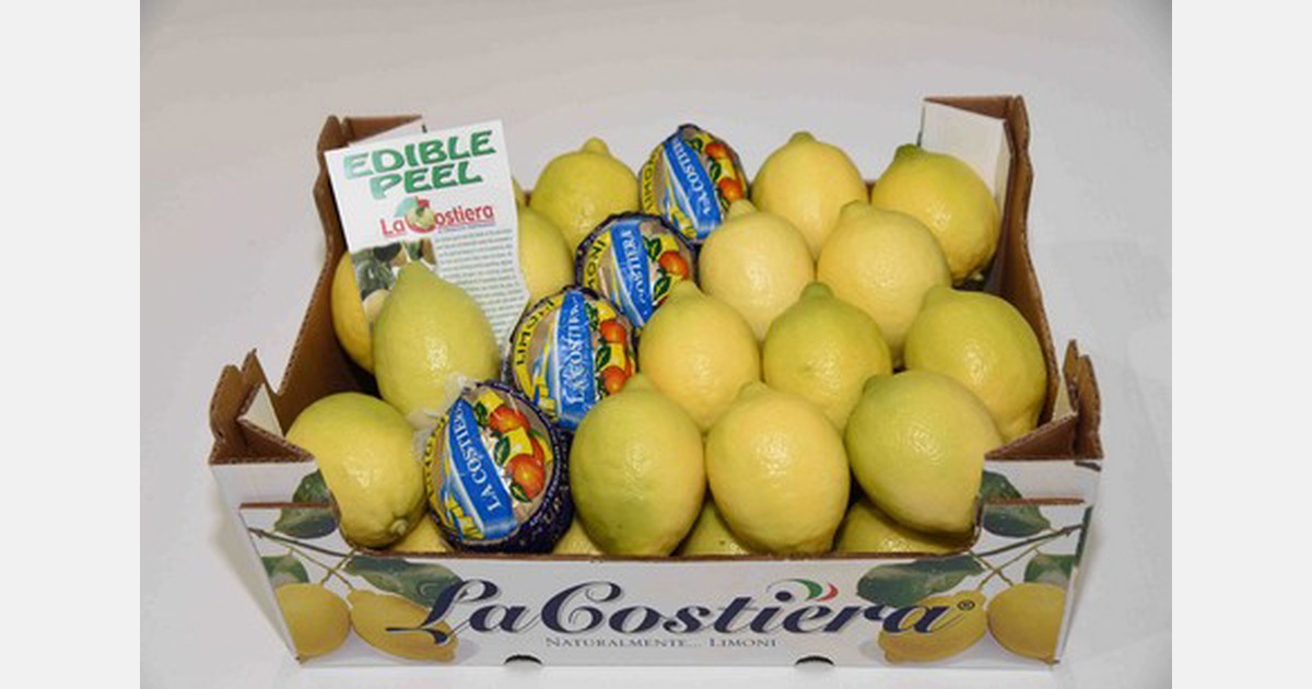 Limoni: si lavora ancora con il Primofiore, meno disponibile il Bianchetto