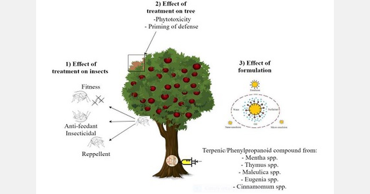 Progetto Tree-Injection: iniezioni con olio essenziale contro i ...