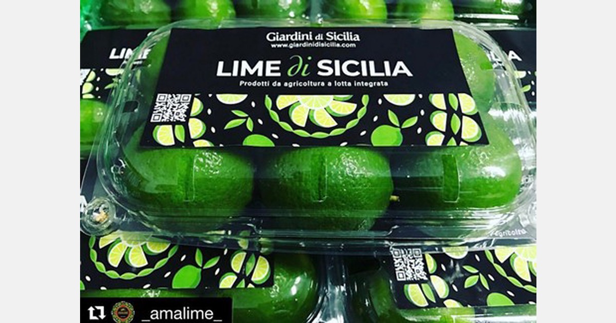 Al via la campagna del lime siciliano