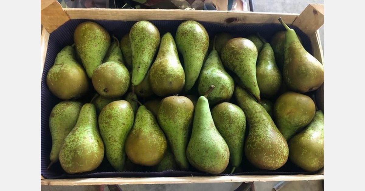 Pere Conference: la Polonia e' l’unico Paese che mantiene alto il ...