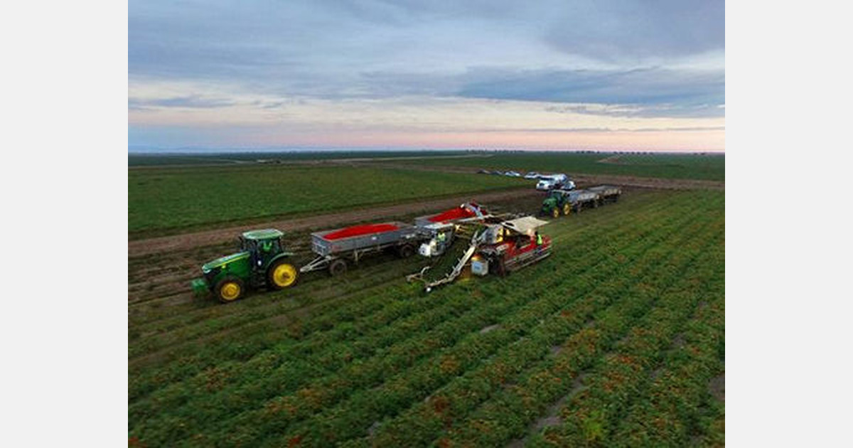 California Masterplant adotta il software gestionale winTutor IRIS di SELDA Informatica