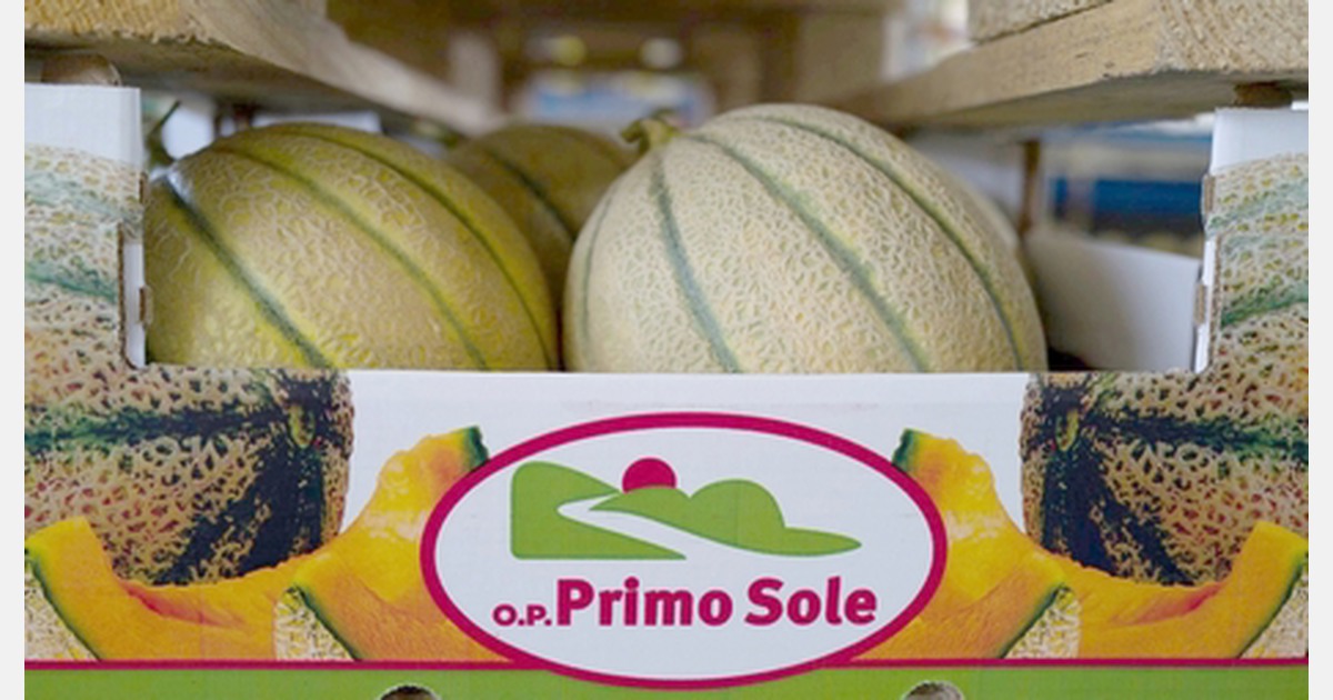 I meloni retati della Op Primo Sole per la prima volta all'estero