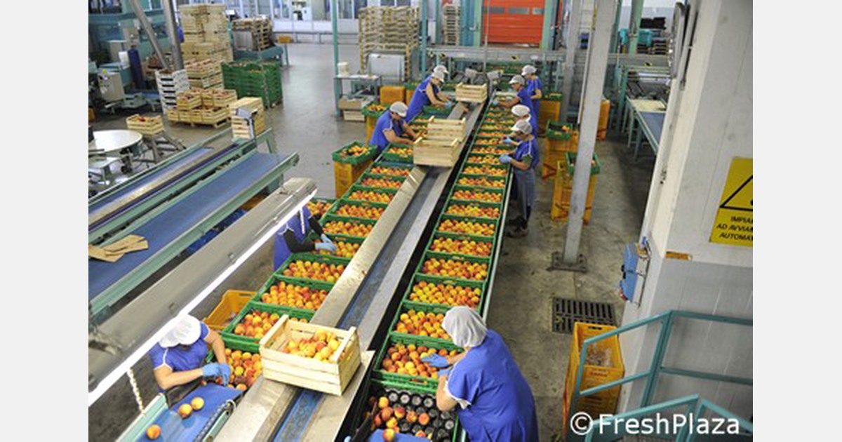 "Dopo il lockdown e zone arcobaleno, il settore agricolo merita ...