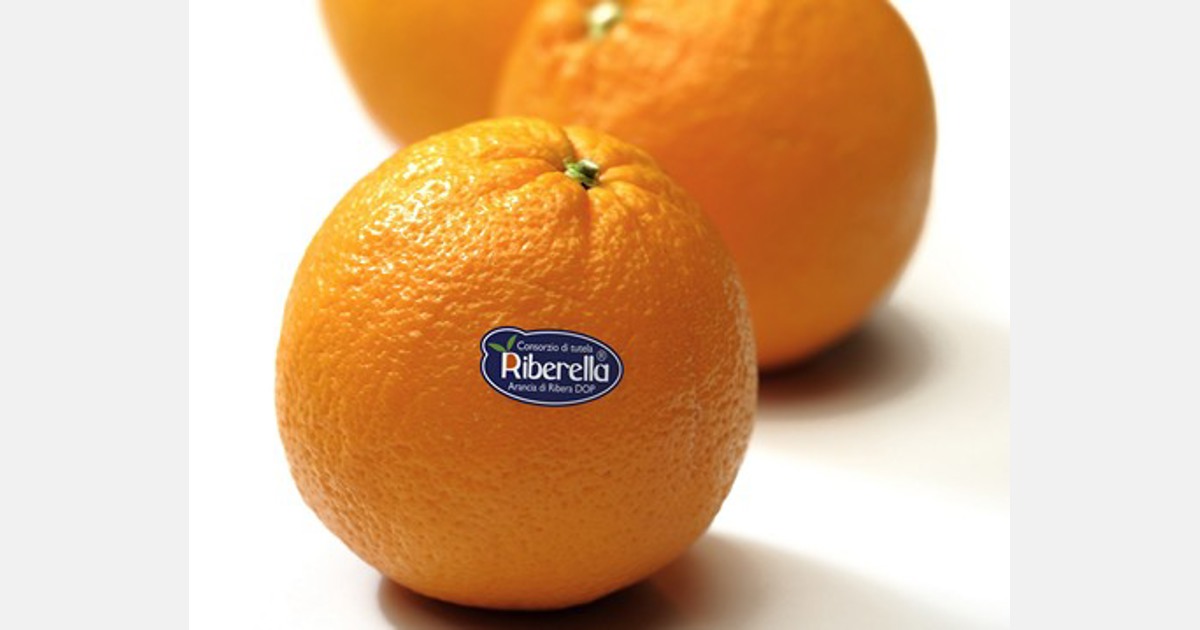 Aumenta del 31 per cento la produzione dell'Arancia di Ribera Dop