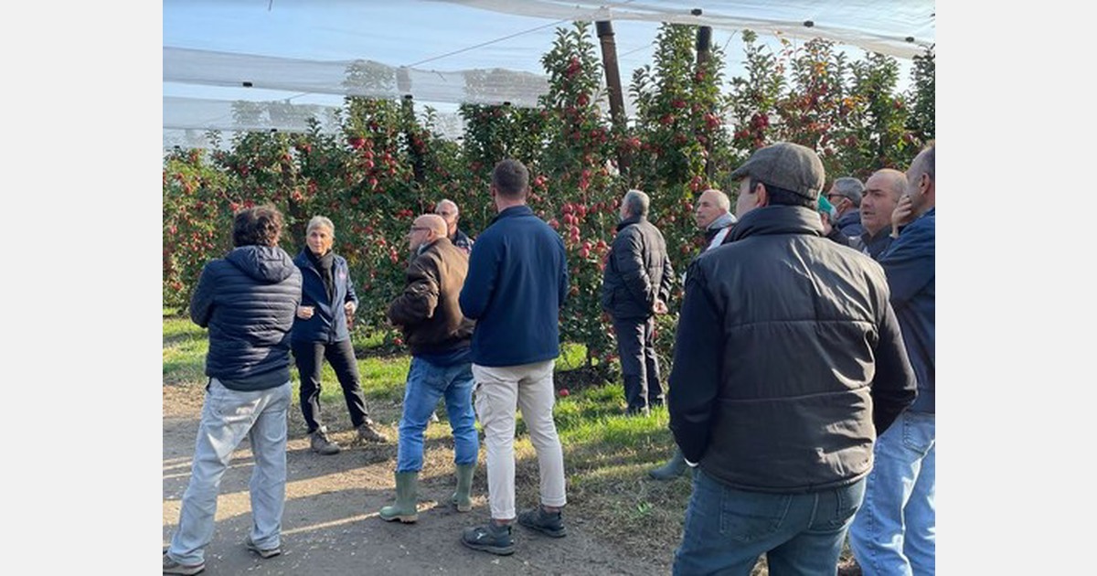 Salvi Vivai in prima linea: ripartono gli eventi sul territorio