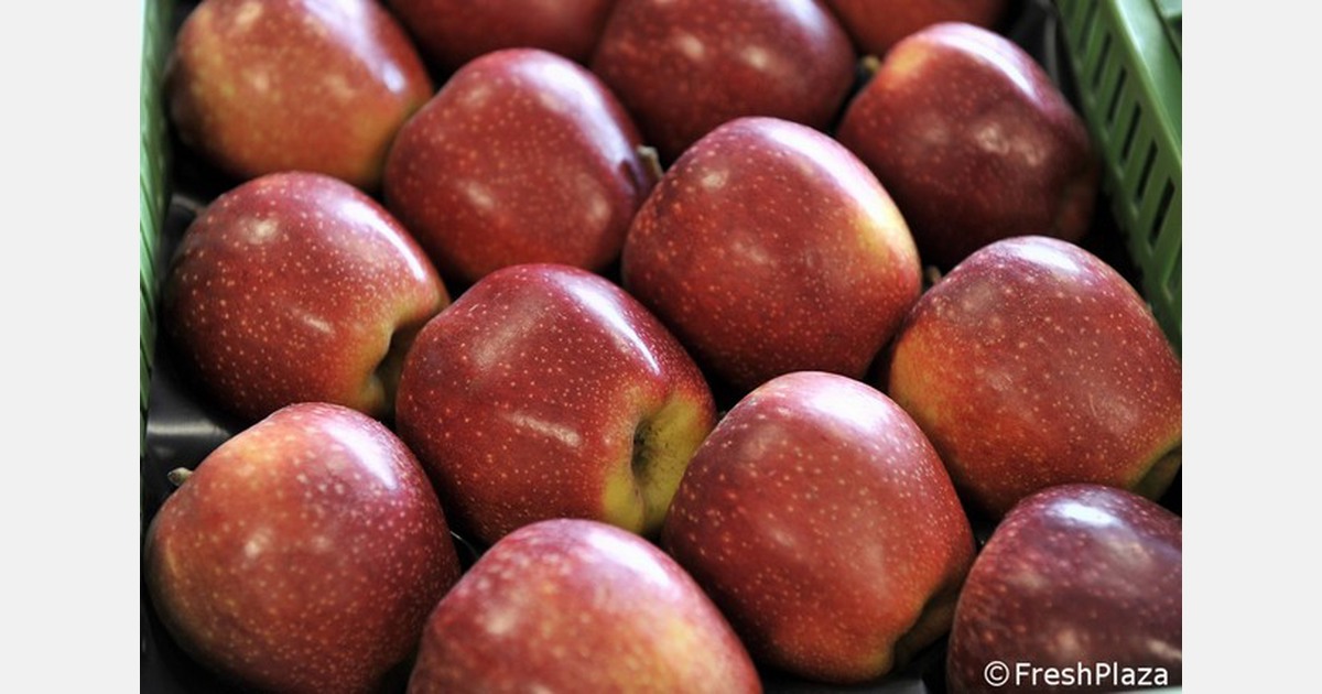 Previsto un calo del 30% per la produzione di mele italiane nel 2030