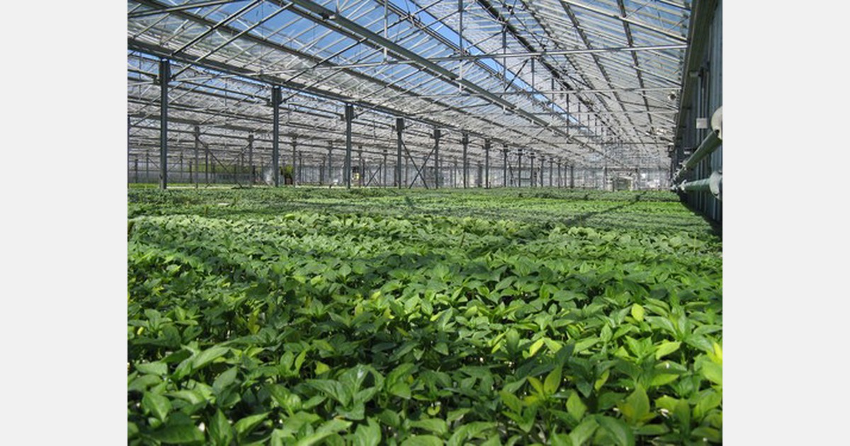 Masterplant acquisisce Parma Vivai