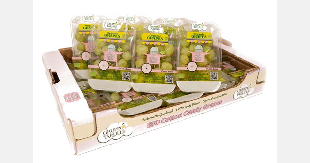 Bio Cotton Candy, l'uva biologica al gusto di zucchero filato che ...