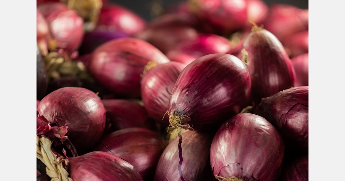 La Cipolla Rossa di Tropea a Terra Madre Salone del Gusto